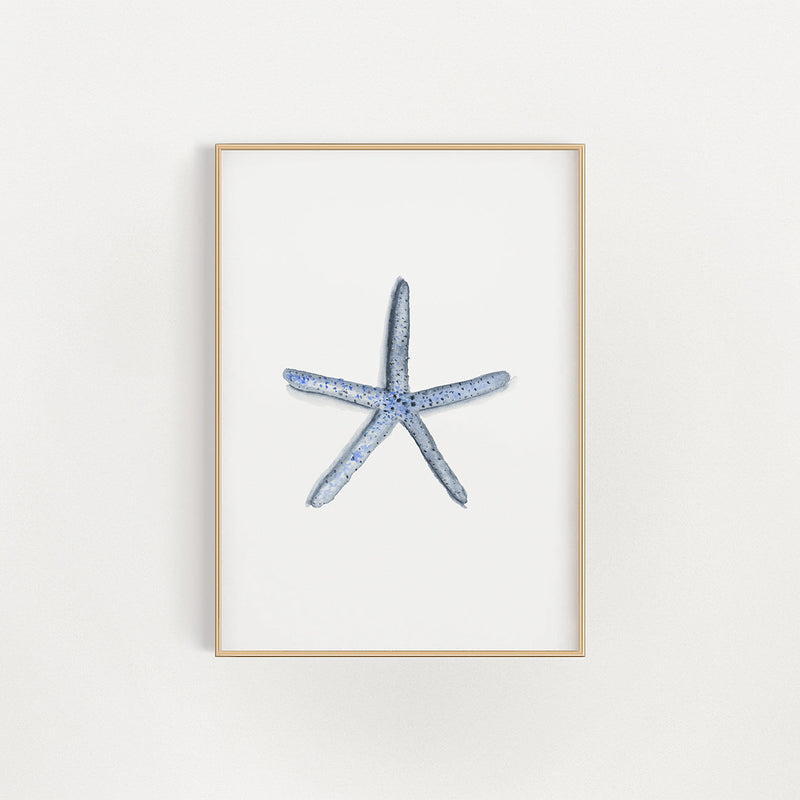 Blue Starfish Print